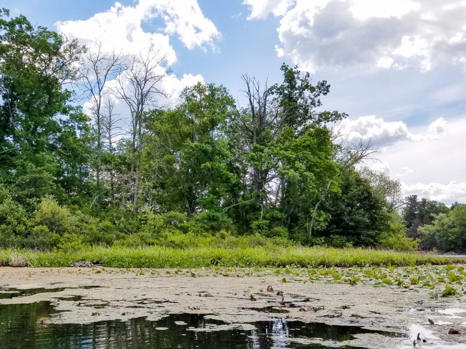 Kayaking Lamoka Lake – Wayfarer