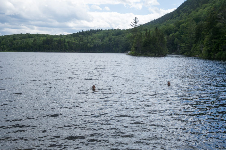 Swimming at Little Rock Pond – Wayfarer